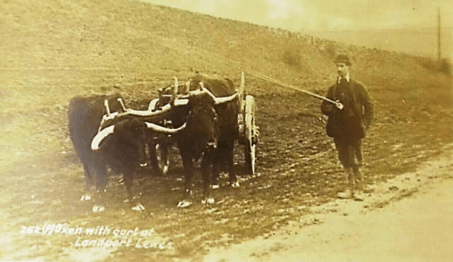 Lewes History Group: Bulletin 135, October 2021 | Lewes History Group